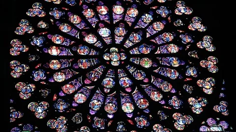 Paris Rose Stock Videos – Royalty-Free HD & 4K Videos