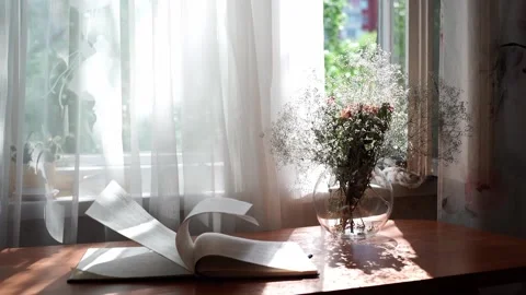 Life Still Stock Videos – Royalty-Free HD & 4K Videos