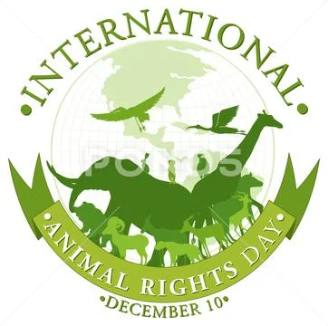 International Animal Rights Day banner design Illustration #220397364