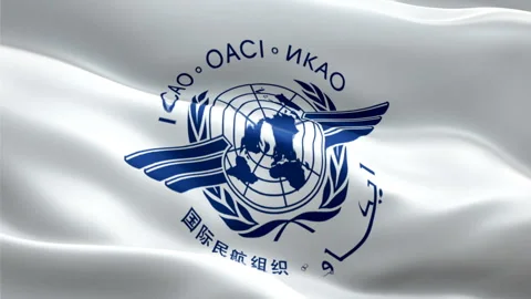 Z International Logo Stock Videos – Royalty-Free HD & 4K Videos | Pond5