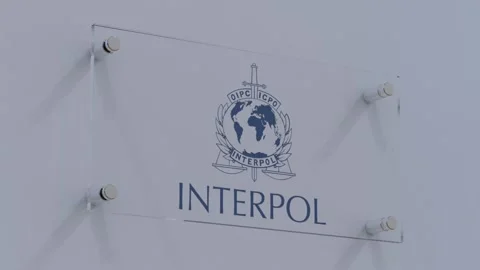 Interpol Stock Video Footage | Royalty Free Interpol Videos | Pond5