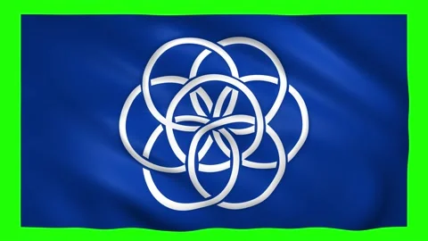 International Flag of Planet Earth on gr... | Stock Video | Pond5