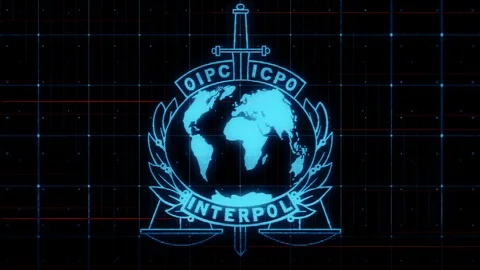 Interpol Stock Video Footage | Royalty Free Interpol Videos | Pond5