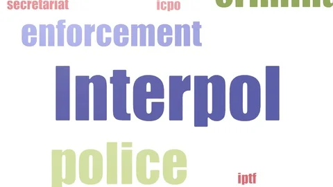 Interpol Stock Video Footage | Royalty Free Interpol Videos | Pond5