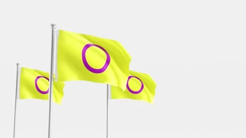 Intersex flag waving on white background... | Stock Video | Pond5