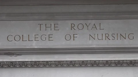 Interview with Professor Nicola Ranger f... | Stock Video | Pond5