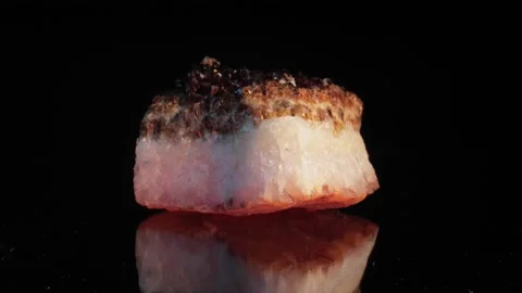 Intricate details of the surface cortex ... | Stock Video | Pond5
