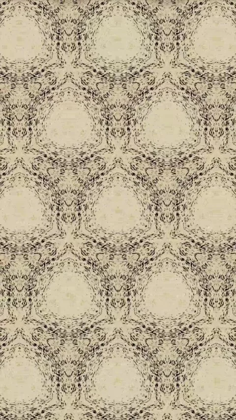 Opening Intro Stock Video Footage | Royalty Free Opening Intro Videos ...