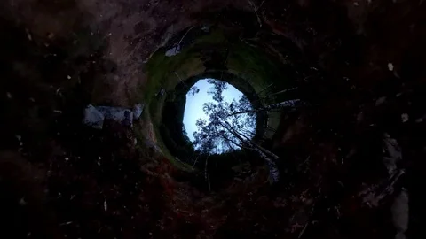 Inverted forest view - Magical fantasy p... | Stock Video | Pond5