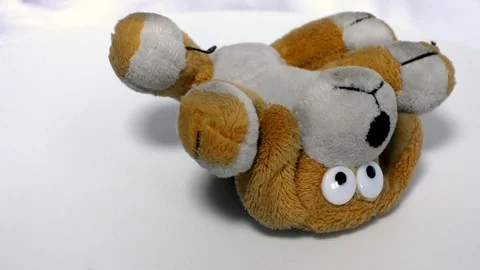 Inverted Dog Stock Video Footage | Royalty Free Inverted Dog Videos | Pond5