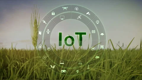 IoT in round graphic icon, Smart agricul... | Stock Video | Pond5