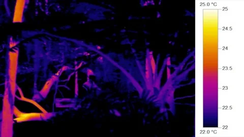 Heat Vision Stock Video Footage | Royalty Free Heat Vision Videos | Pond5