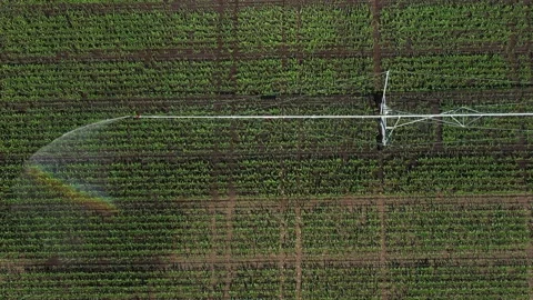 Irrigation Aerial Stock Video Footage | Royalty Free Irrigation Aerial ...