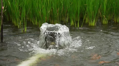 Irrigation water flow system from rivers... | Stock Video | Pond5