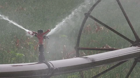 Irrigation wheel sprinklers watering spr... | Stock Video | Pond5