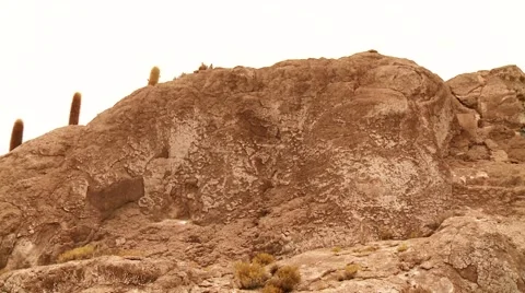 Isla del Pescado, Bolivia, Salt flat Sal... | Stock Video | Pond5