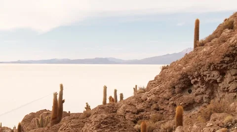 Isla del Pescado, Bolivia, Salt flat Sal... | Stock Video | Pond5
