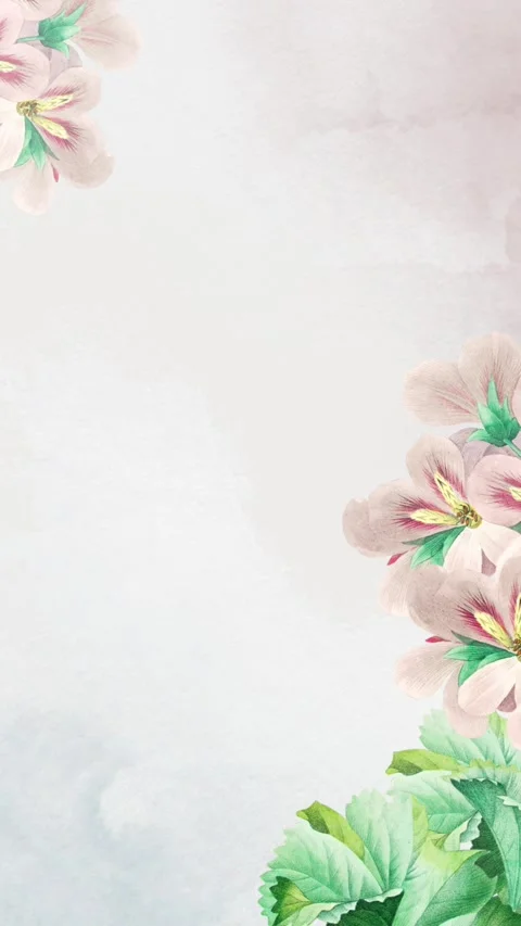 Islamic Nature Video Stock Videos – Royalty-Free HD & 4K Videos