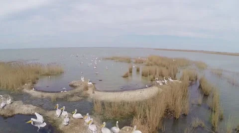 View Hosting Stock Videos – Royalty-Free HD & 4K Videos