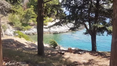 Vido Of M Stock Videos – Royalty-Free HD & 4K Videos | Pond5