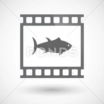 Isolated 35mm film frame slide photogram with a tuna fish ~ Clip Art ...