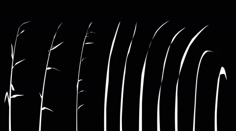 Growing Grass Animation Stock Footage ~ Royalty Free Stock Videos | Pond5