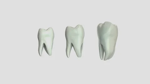 Teeth Treatment Animation Stock Videos – Royalty-Free HD & 4K Videos ...