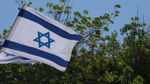 Israel Flag Waving in Wind on blue sky b... | Stock Video | Pond5