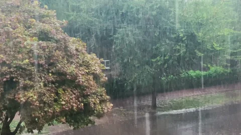 It is pouring rain outside, the view fro... | Stock Video | Pond5
