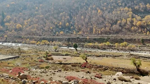 Indian Army Border Stock Videos – Royalty-Free HD & 4K Videos | Pond5