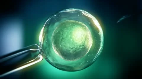 IVF in vitro fertility gene therapy dna ... | Stock Video | Pond5