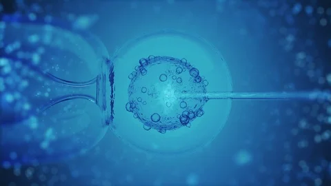 IVF in vitro fertilization through a mic... | Stock Video | Pond5