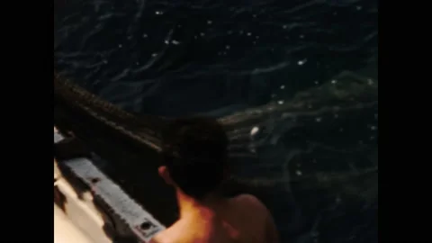 Ivory coast 1950s, Fisherman fishing lar... | Stock Video | Pond5