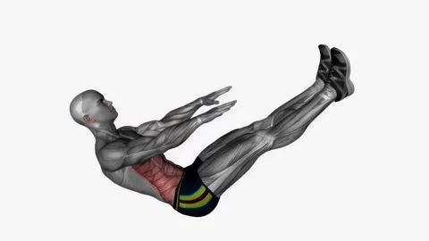 Jack Fittness Stock Videos – Royalty-Free HD & 4K Videos | Pond5