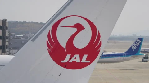 Airplane Tail Logo Stock Videos – Royalty-Free HD & 4K Videos