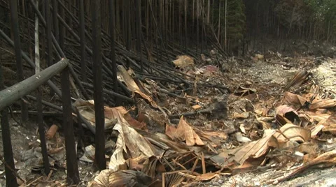 Japan Tsunami Aftermath - Fire Damaged F... | Stock Video | Pond5