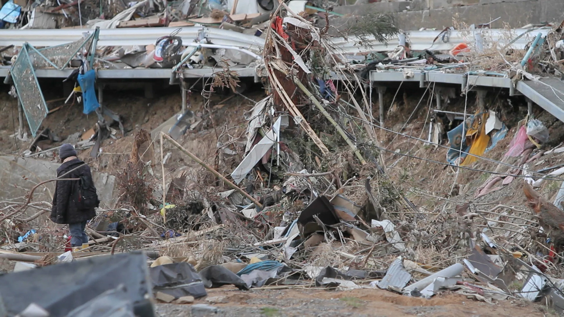 Tsunami Aftermath Bodies