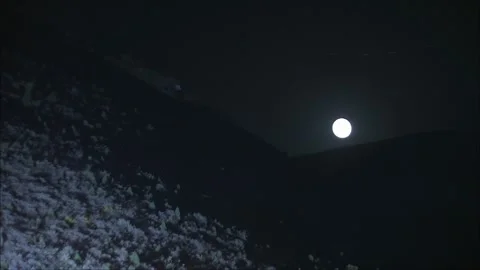 Japanese Aircraft Stock Videos – Royalty-Free HD & 4K Videos