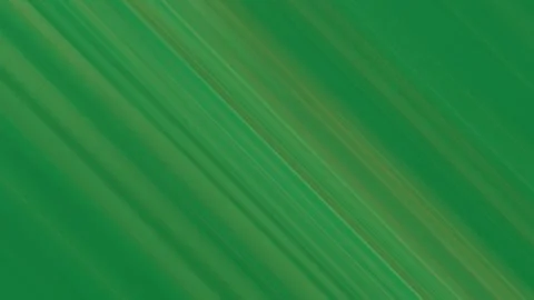 Video Anime Stock Videos – Royalty-Free HD & 4K Videos | Pond5