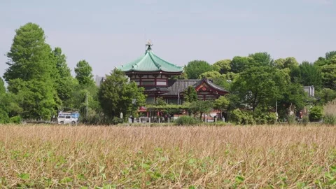 Japanese beautiful traditional Benten-do... | Stock Video | Pond5