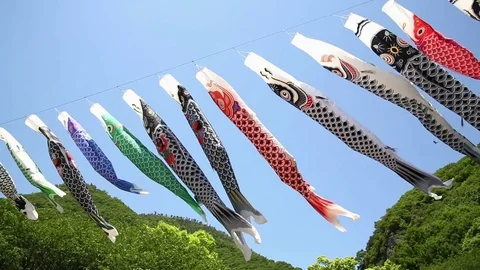 Japanese Streamer Stock Videos – Royalty-Free HD & 4K Videos | Pond5