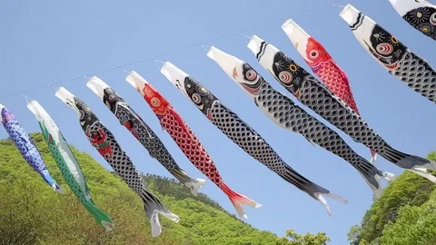 Japanese Streamer Stock Videos – Royalty-Free HD & 4K Videos | Pond5