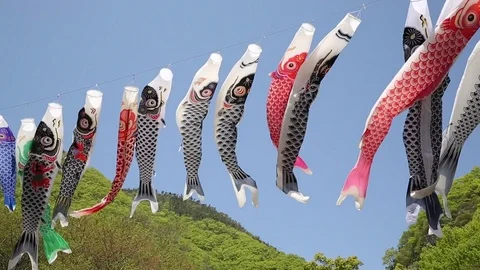 Japanese Streamer Stock Videos – Royalty-Free HD & 4K Videos | Pond5