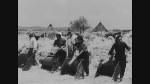 Japanese civilians threshing rice crops ... | Stock Video | Pond5