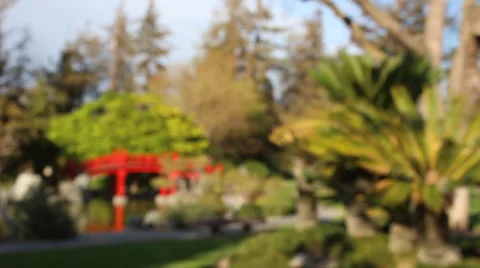 Japanese Bridge Background Stock Videos – Royalty-Free HD & 4K Videos