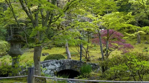 Japanese Bridge Background Stock Videos – Royalty-Free HD & 4K Videos