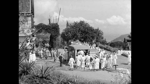 Japanese Bus Who Stock Videos – Royalty-Free HD & 4K Videos