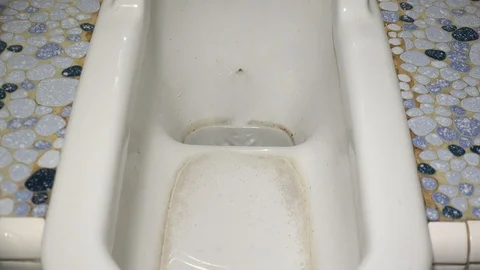 Toilet Old Style Stock Videos – Royalty-Free HD & 4K Videos | Pond5