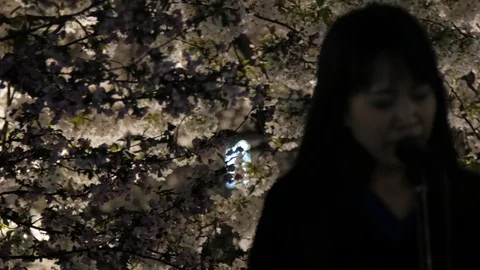 Japanese singer with sakura background 2 | Stock Video | Pond5