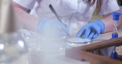 Jars with seeds, mold, parasites in a la... | Stock Video | Pond5